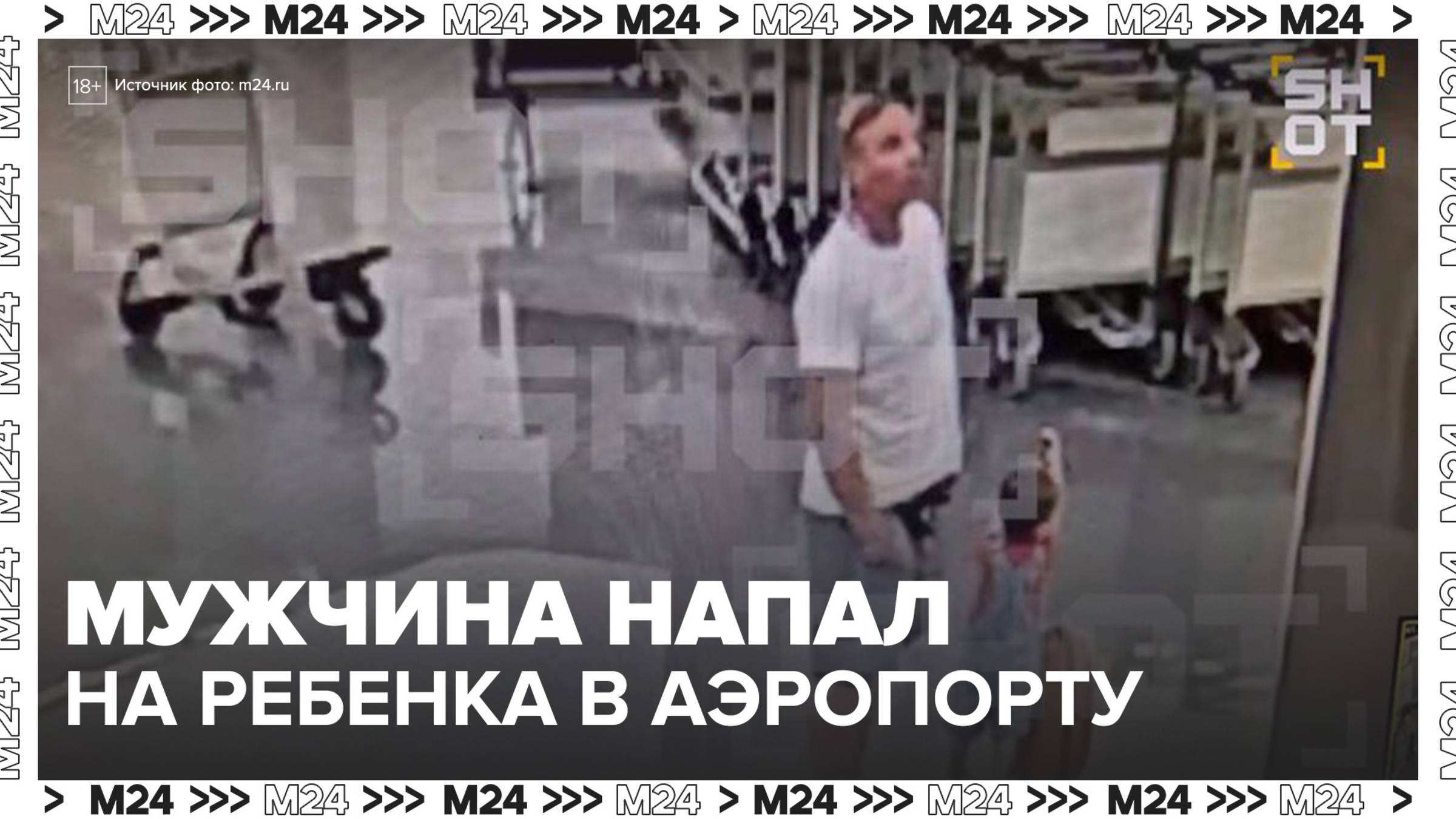 Возбуждено уголовное дело о покушении на убийство ребенка в Шереметьево - Москва 24