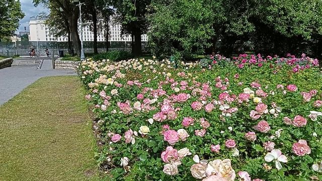 Парк Горького Москва.Розарий с фонтаном 1930г.,романтичное историческое место  отдыха