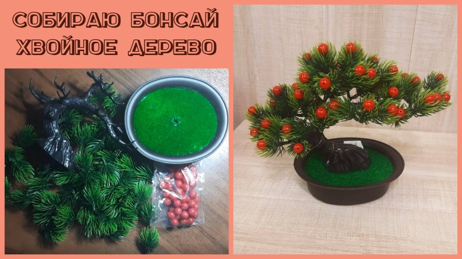 CrisstaiL  Бонсай сосна с шишичками в горшке. Набор - Сделай сам.