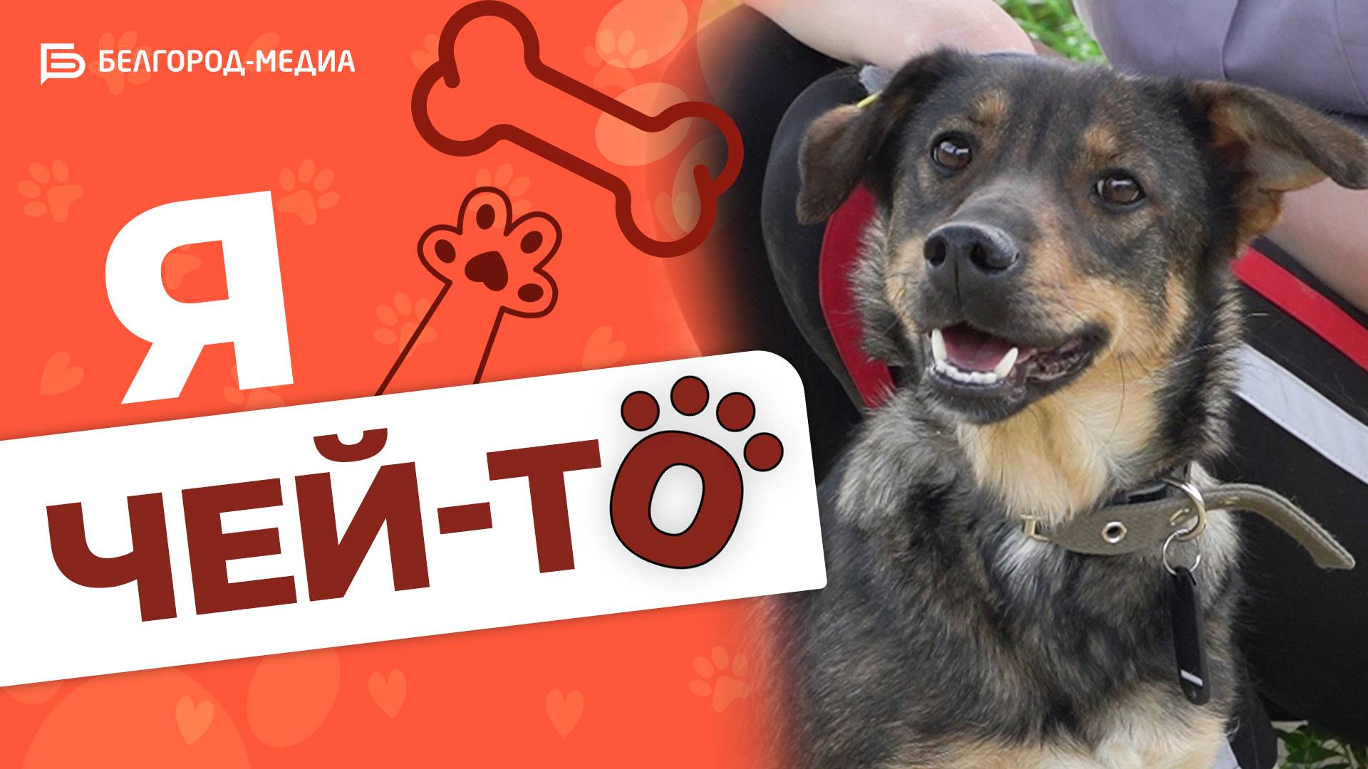 Бусинка ищет дом | Я чей-то