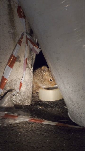 Ночь улица фонарь завод "bobr kurwa" 🤣😂