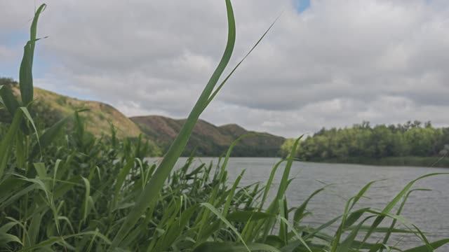 Природа Донской земли! Красоты России!