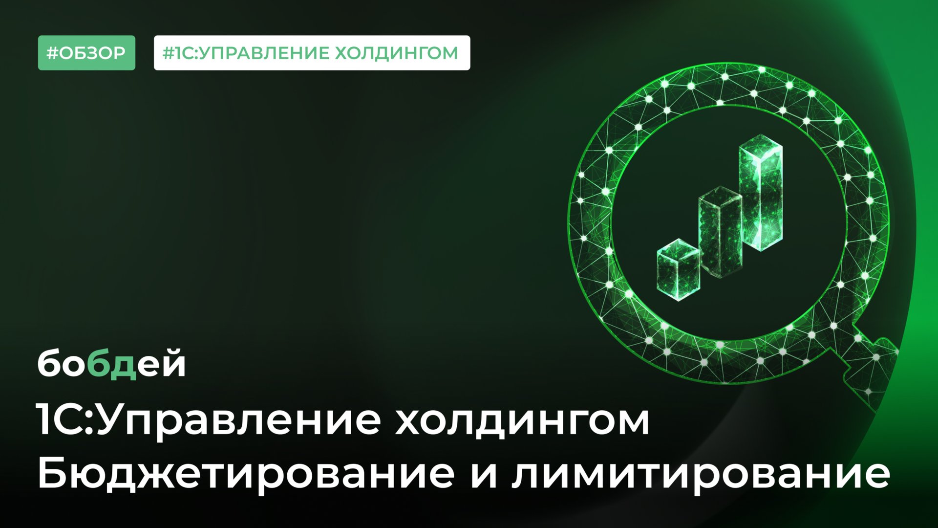 1С Управление холдингом. Бюджетирование и лимитирование