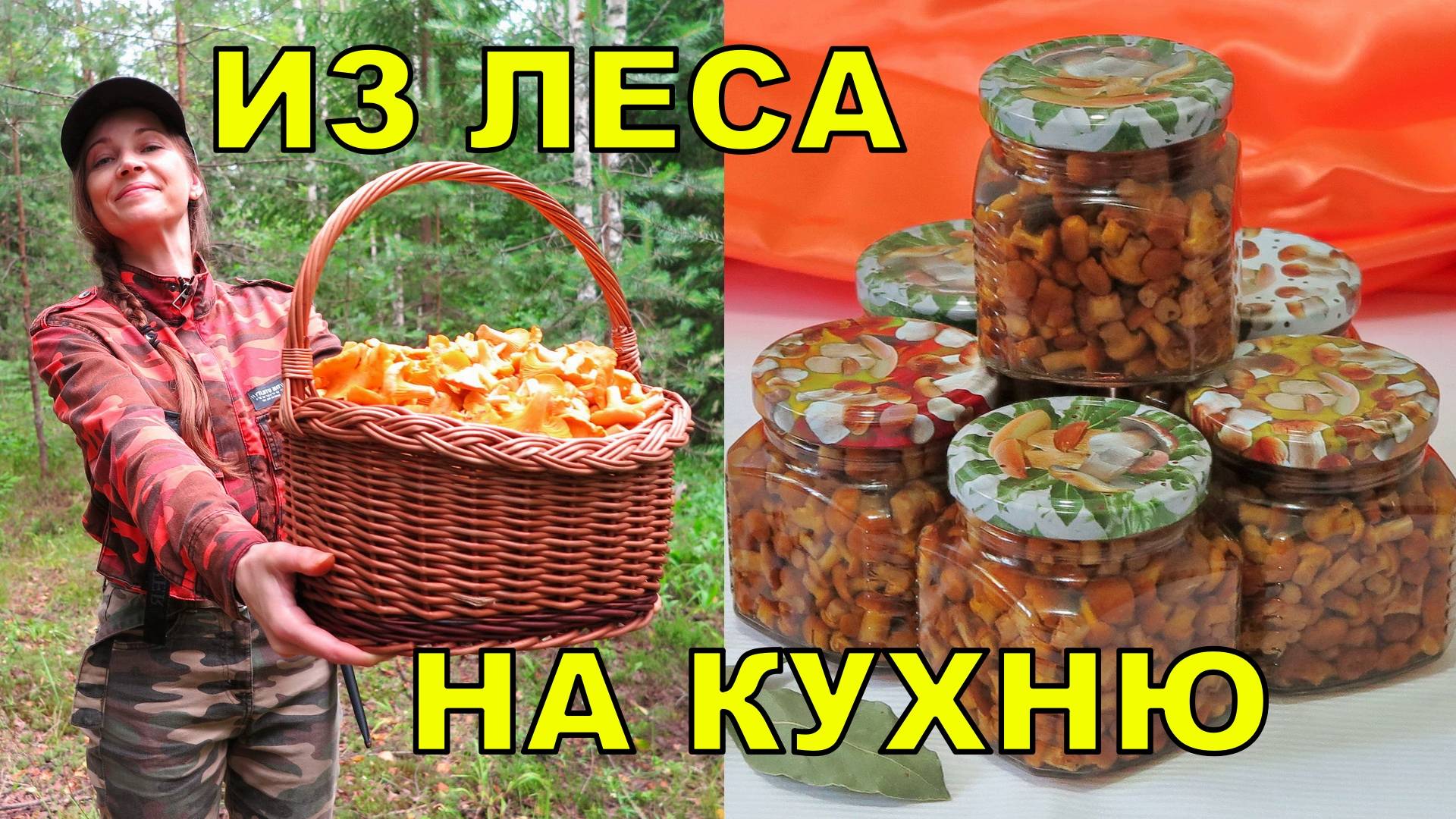 ГРИБЫ ИЗ ЛЕСА НА КУХНЮ – Мариную грибы Лисички, собранные накануне в Подмосковье