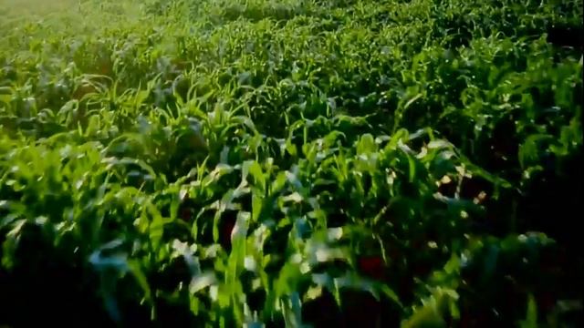 Матушка земля v2