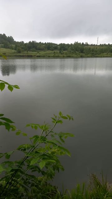 Прогулка на озеро,красота летней природы.