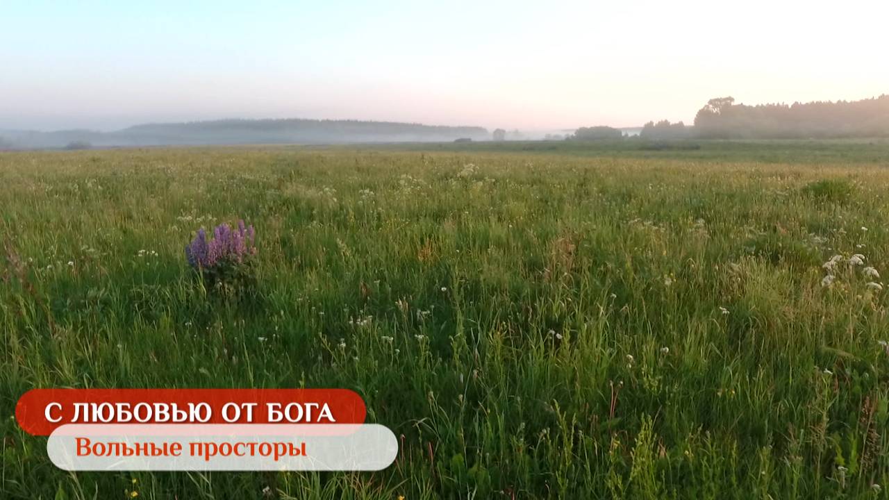 Вольные просторы | С любовью от Бога