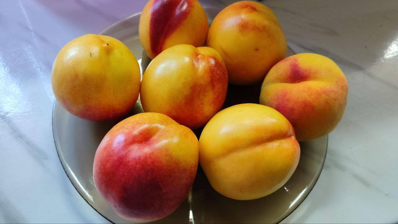 Персиковое варенье на зиму. Вкусное и ароматное варенье.