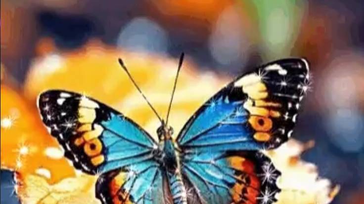 ИЮЛЬ--КОЗЕРОГ(астро)