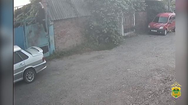 В Новокубанске полицейские задержали троих подозреваемых в вооруженном разбойном нападении