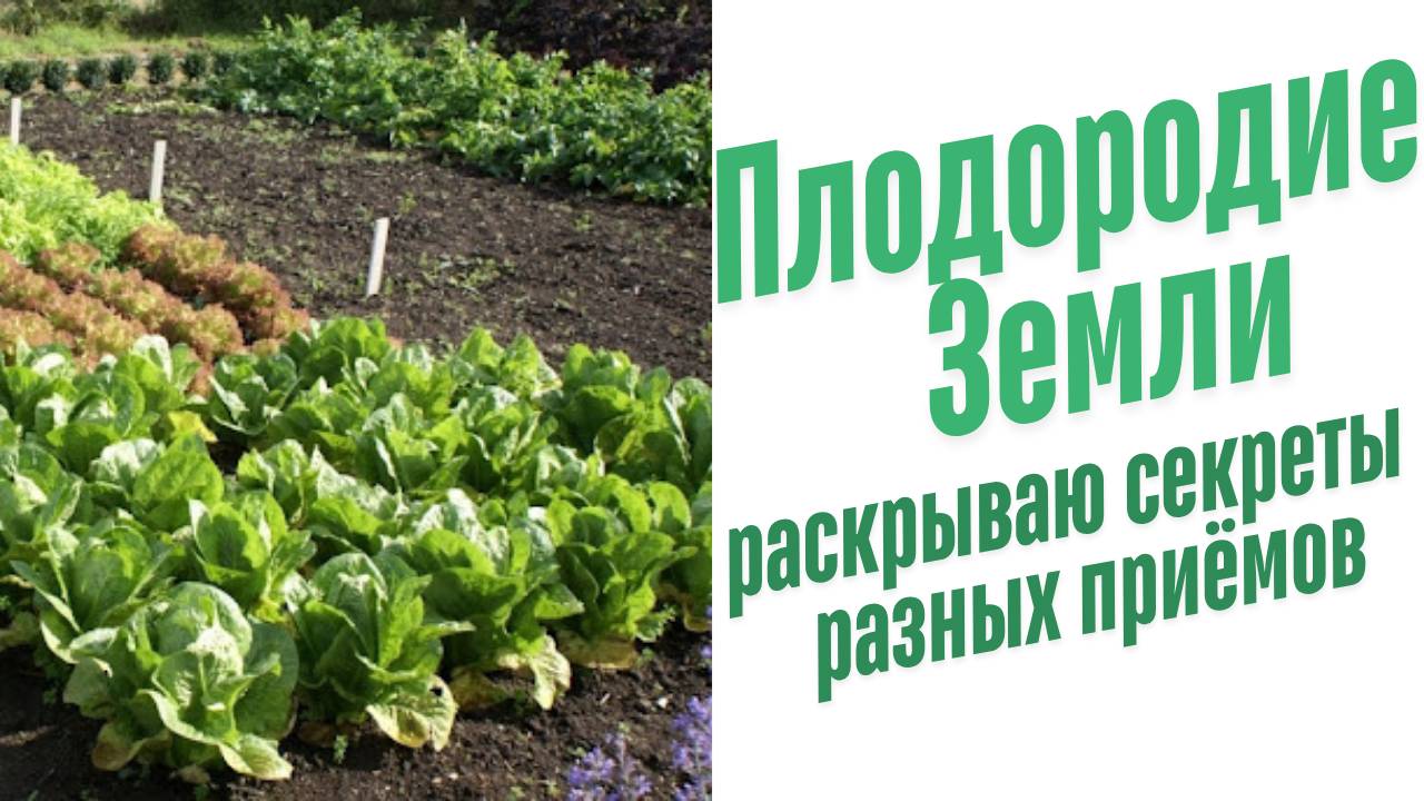 Как создать эко огород?