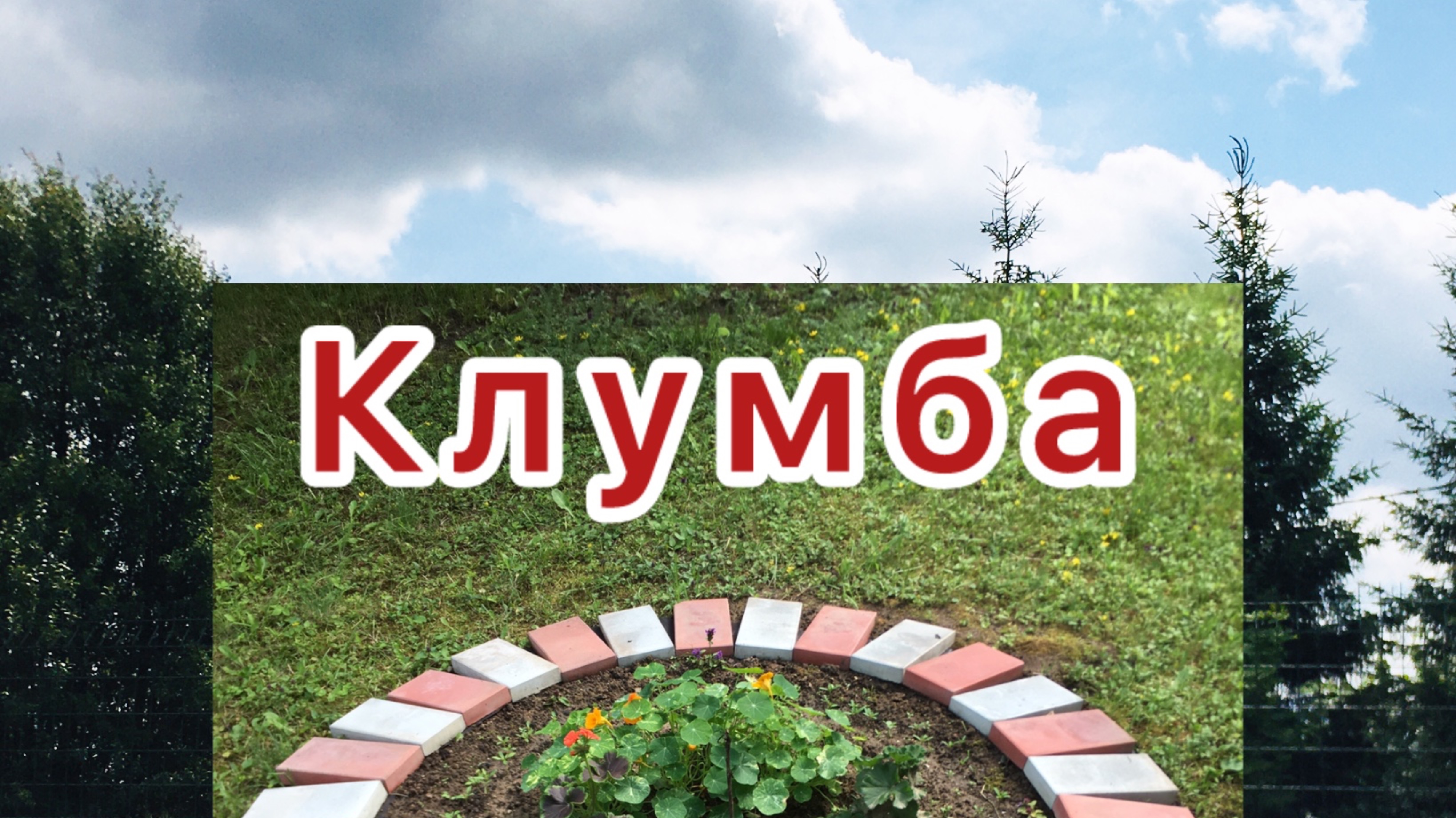 Клумба.
От мечты до воплощения один шаг.