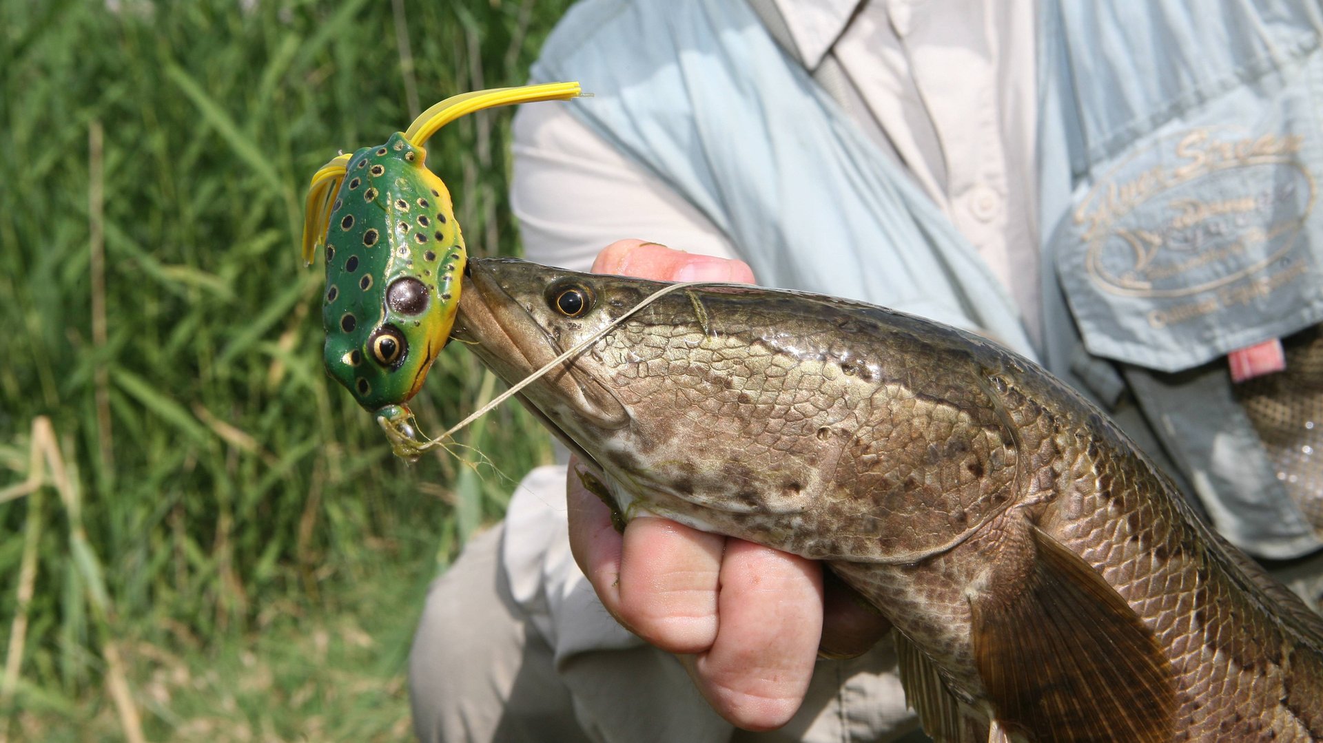"О ЧЕМ МОЛЧАТ РЫБЫ"