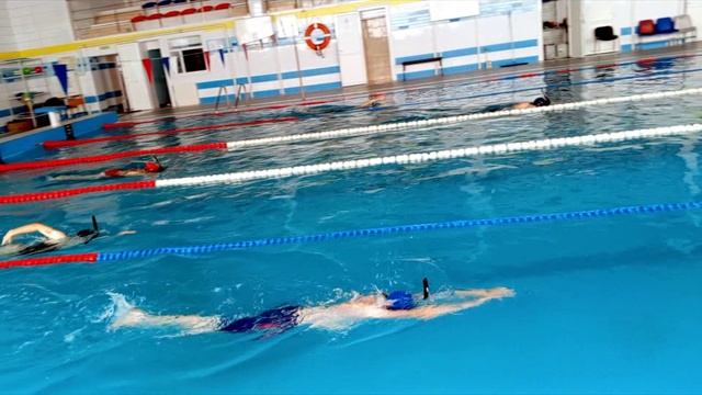 Плавание на технику. Кроль.