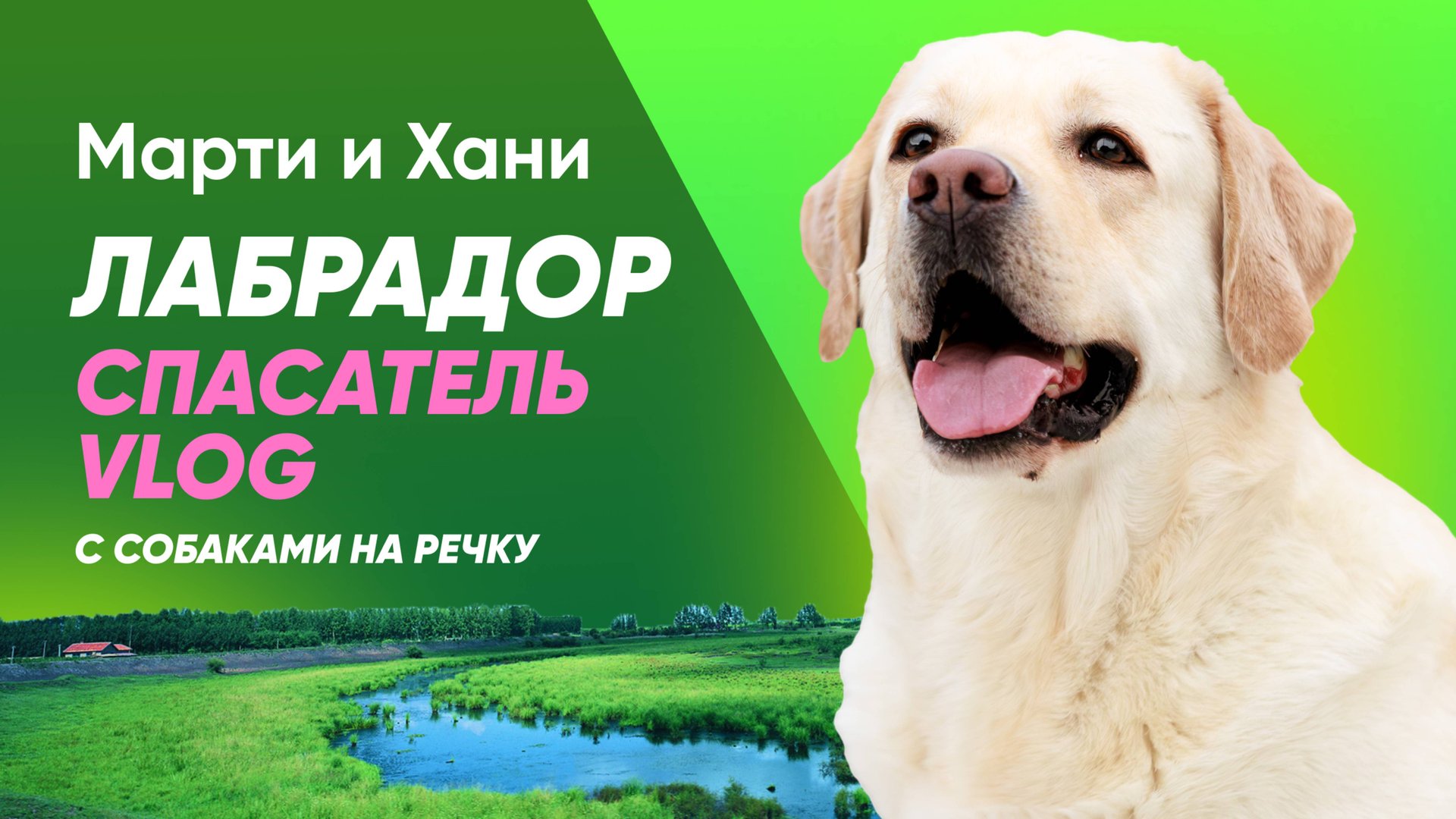 С СОБАКАМИ НА РЕЧКУ / ВЛОГ / ЛАБРАДОР СПАСАТЕЛЬ / ПЛАВАЮ НА СОБАКЕ, ВМЕСТО КРУГА / ВОРОНЕЖСКАЯ ОБЛ
