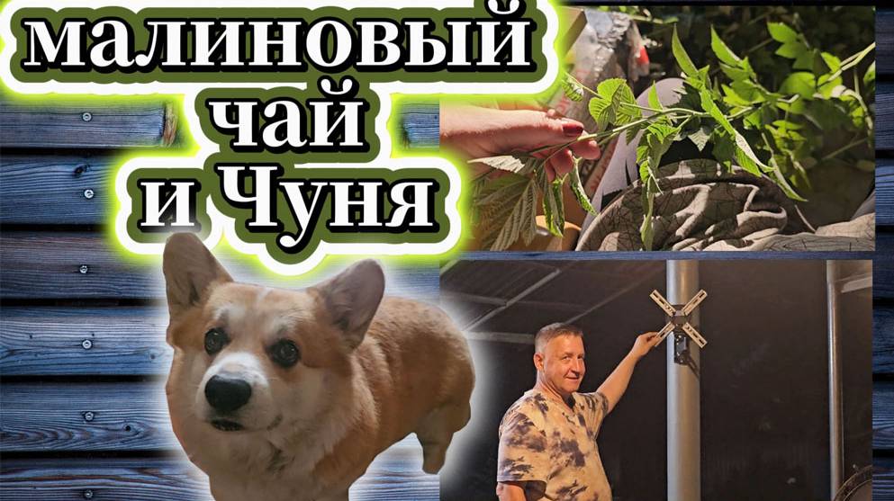 101-25! VLOG ПОЧИСТИЛА И ОБРЕЗАЛА МАЛИНУ/ГОТОВЛЮ ЧАЙ/ИГОРЕВИЧ ЗАКРЕПИЛ ТВ/ПОКУПКИ/АРЧИК