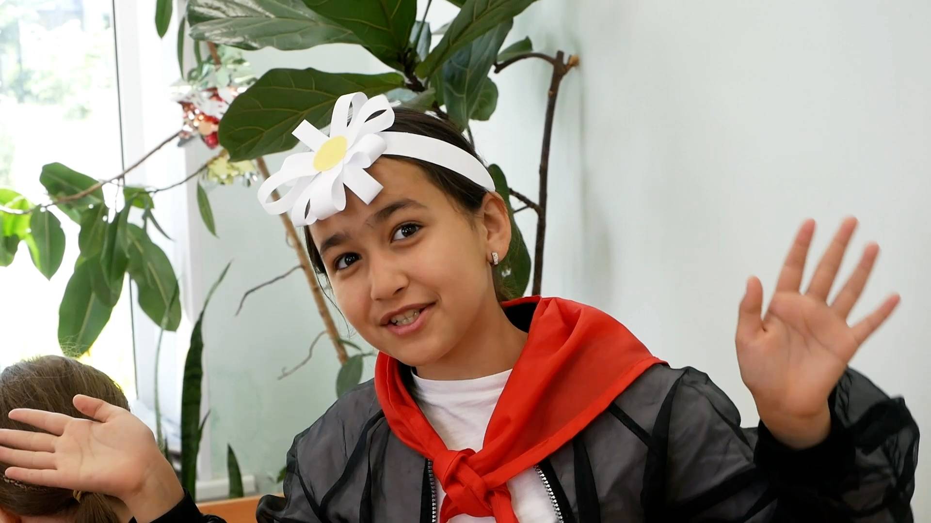 День ромашек