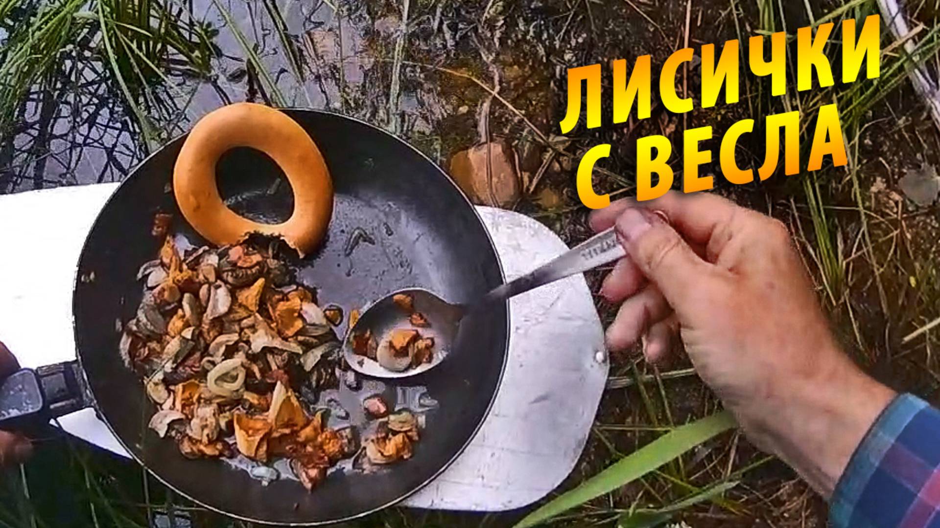 #17  Лисички с весла |  Онего | Поход 2024