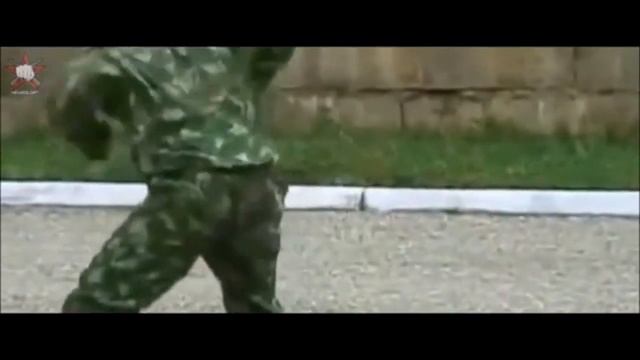 ЛЕНА ШВЕЦ - Служит парень на границе - Автор исполнитель.