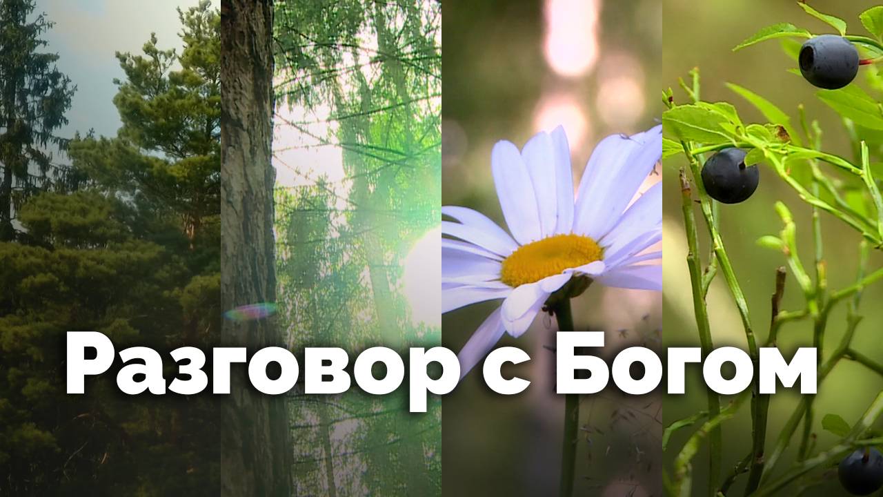 Разговор с Богом | С любовью к русской природе