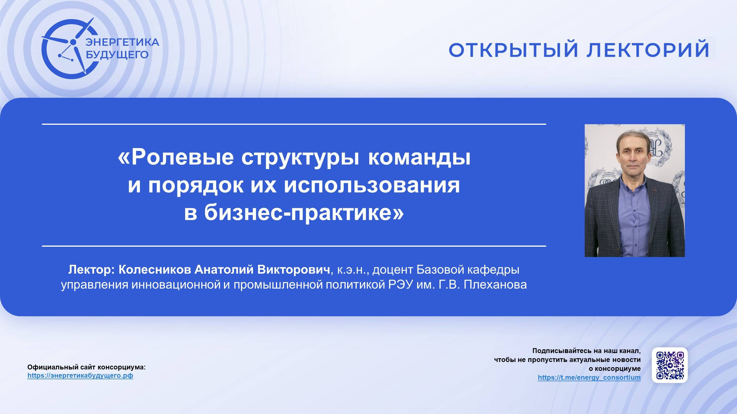 Ролевые структуры команды и порядок их использования в бизнес-практике