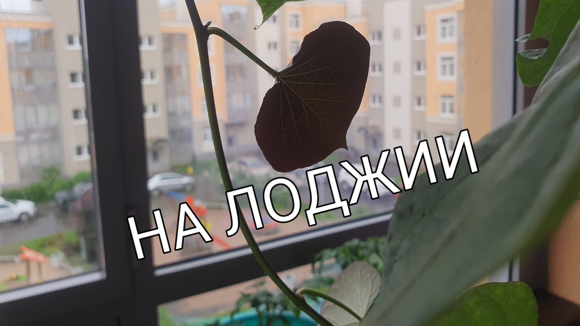 Когда нету дачи.