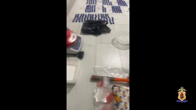 В Рязани передано в суд уголовное дело о преступном сообществе иностранцев-наркоторговцев