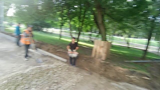 Жестокое баблоустройство в Солнцево. Производственная 1. Рубят корни деревьям