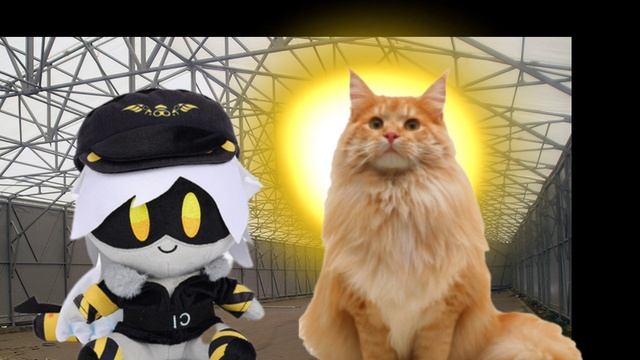 Кибер Ася 5 "Новый друг?"