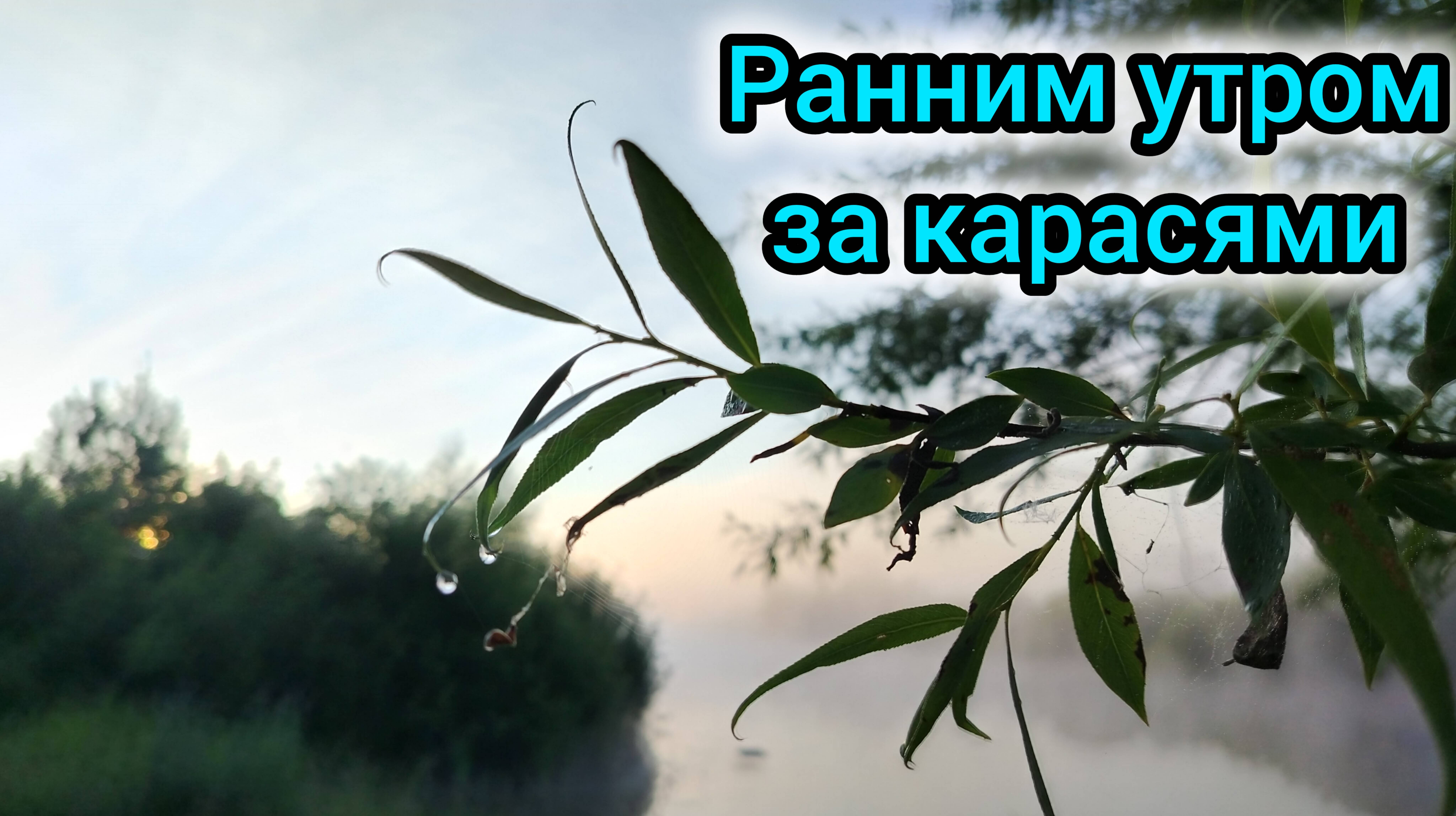 Ранним утром за карасями. Ротан на перловку.