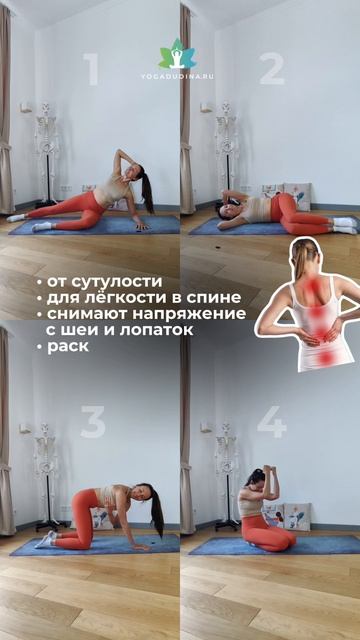 Если СУТУЛИТЕСЬ, эти упражнения для ГРУДНОГО ОТДЕЛА точно для вас