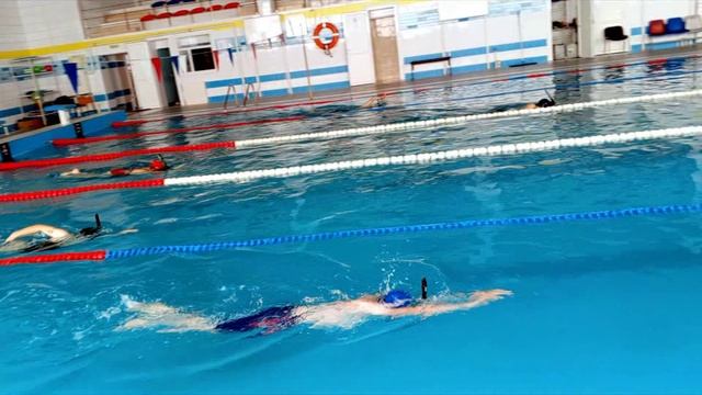 Кроль.Замедленно 13