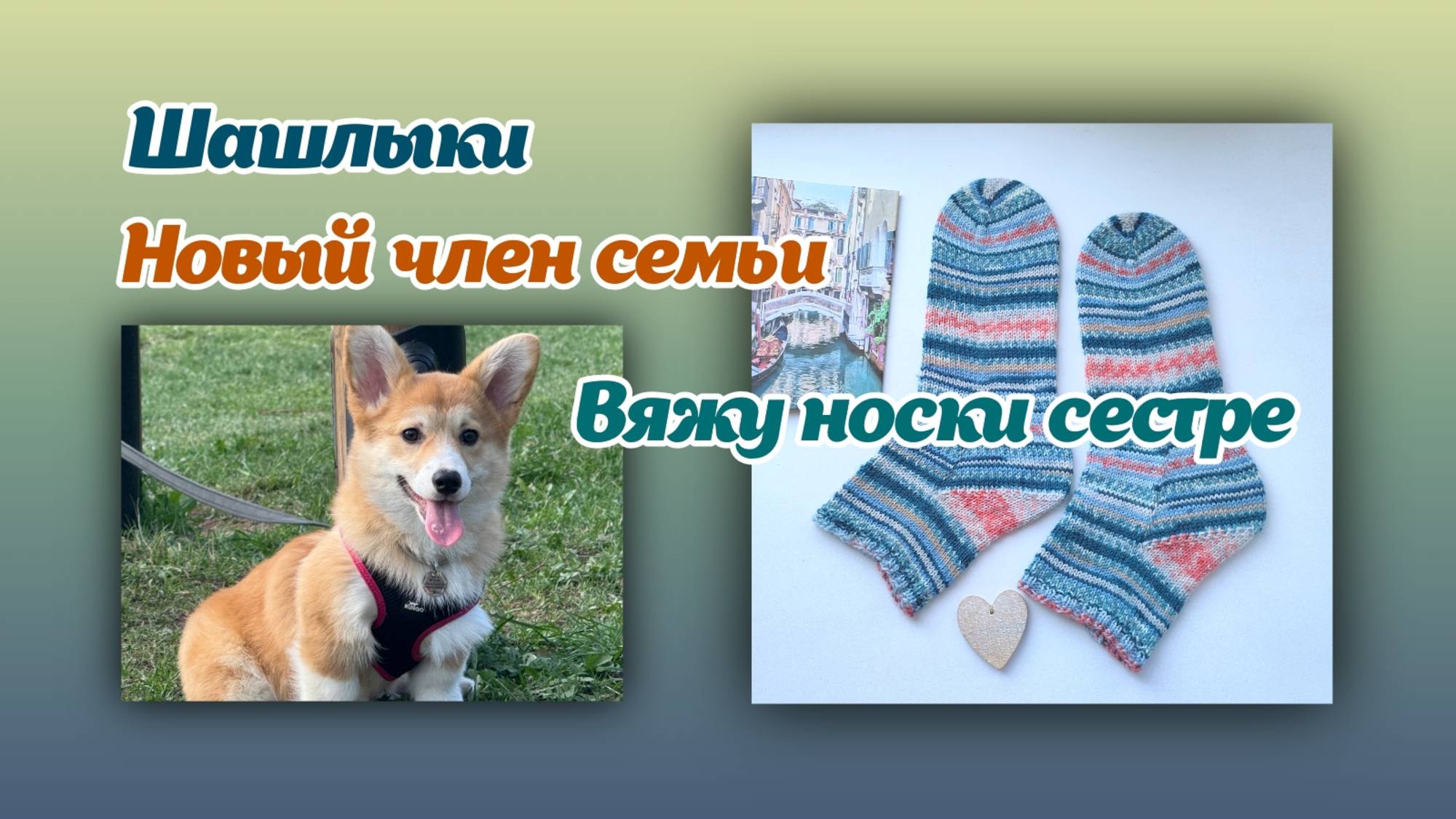 Шашлыки/новый член семьи/вяжу носки сестре