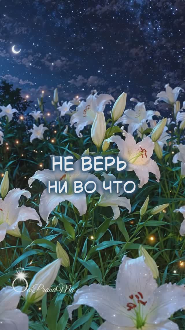 Не верь ни во что #Saiprana #семинар #пробуждение #любовь #истина #энергия #яесть