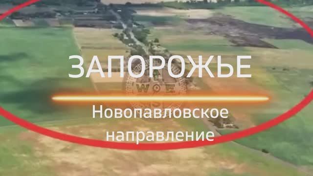 Освобождён посёлок Запорожье. Новопавловское направление. Новости СВО