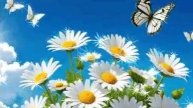 ИЮЛЬ--ДЕВА(астро)