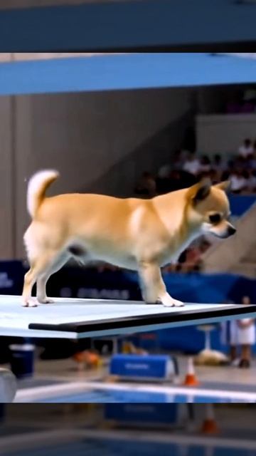 Нейросети придумали ради этого )))