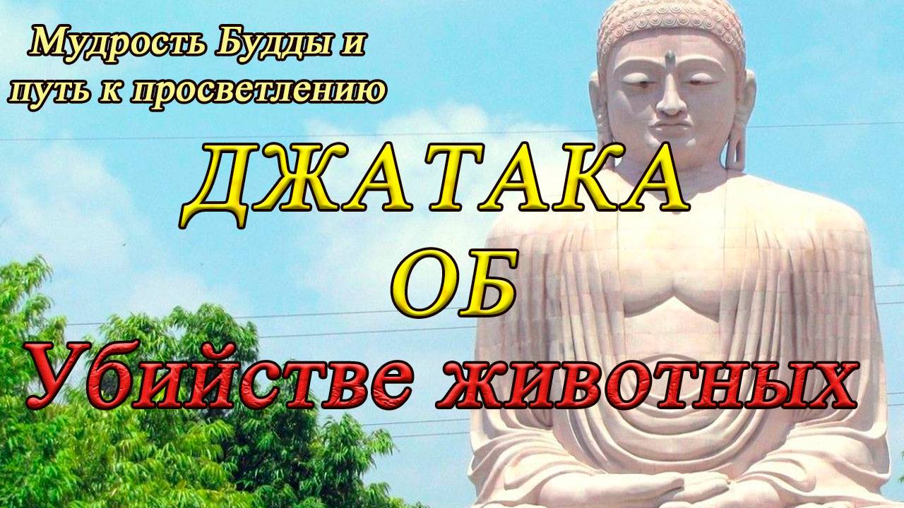 Джатака об УБИЙСТВЕ ЖИВОТНЫХ. Мудрость Будды и путь к просветлению