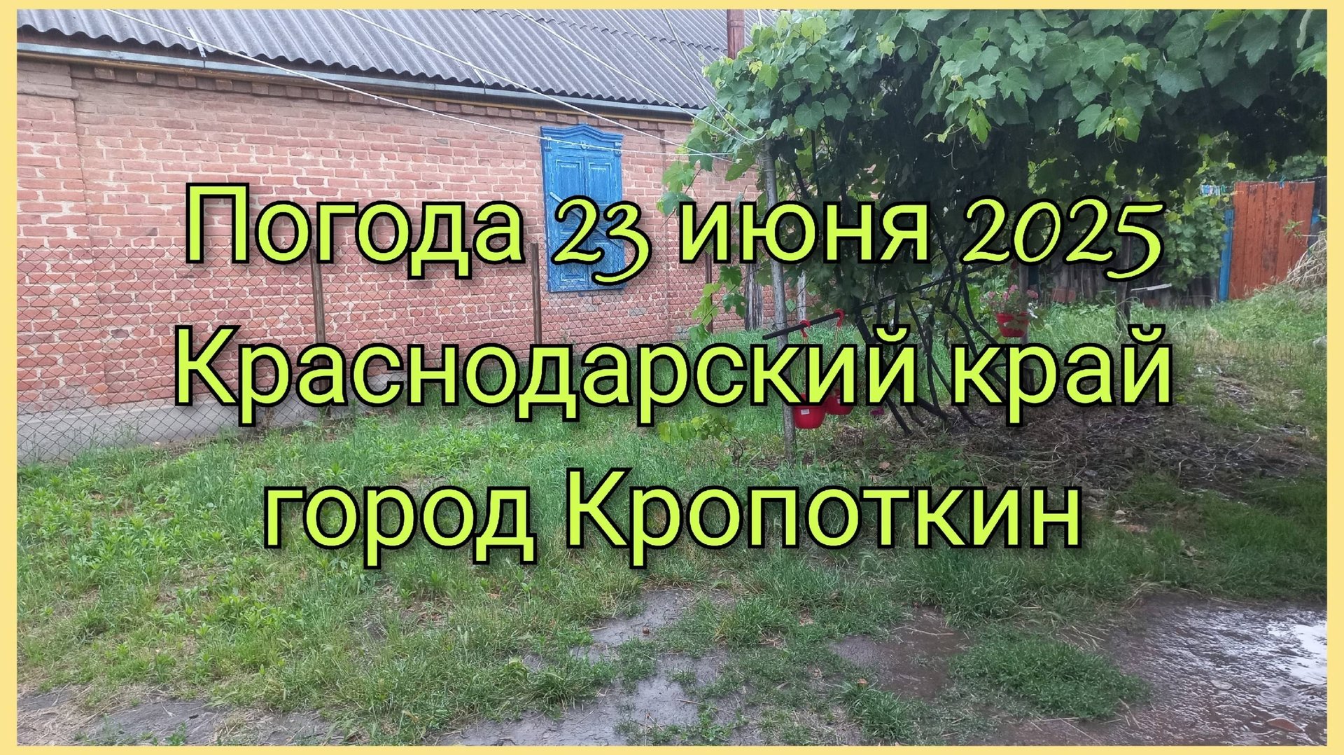 Погода на Кубани 23 июня 2025