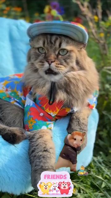 Прикол от Стича😹 #котики #юмор #стич #танцы #смешныеживотные