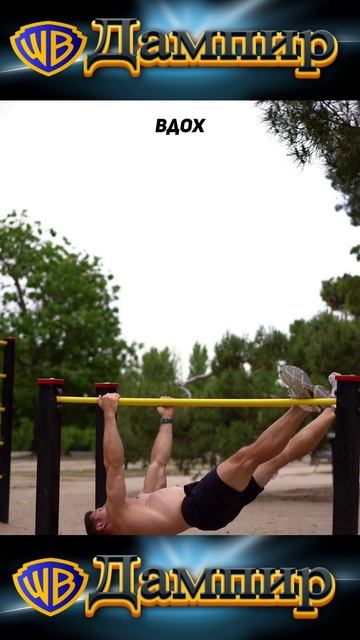 Упражнения на брусьях, для прокачки спины.