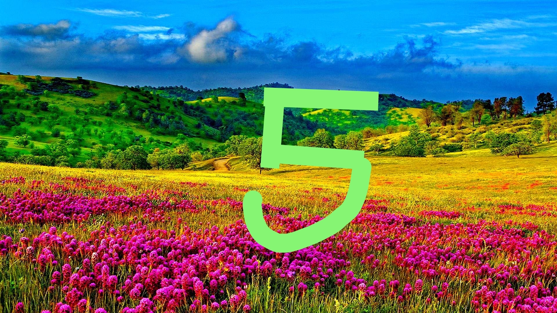 ЛЕТО 5 СЕРИЯ