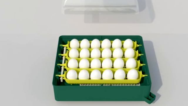 Инкубатор для яиц автоматический Des Champs EU PROFI C-24 с овоскопом на 24 куриных яйца