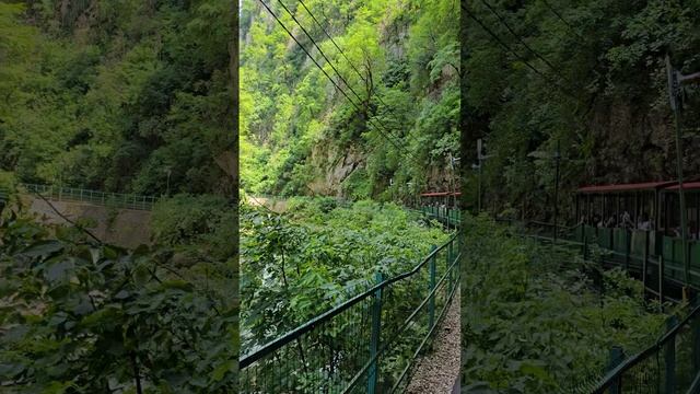 По Гуамскому ущелью на паровозике