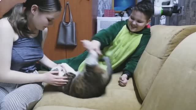 РЖАКА !!! КОТ АРТИСТ !!! ТАКОГО ВЫ ЕЩЕ НЕ ВИДЕЛИ !!!