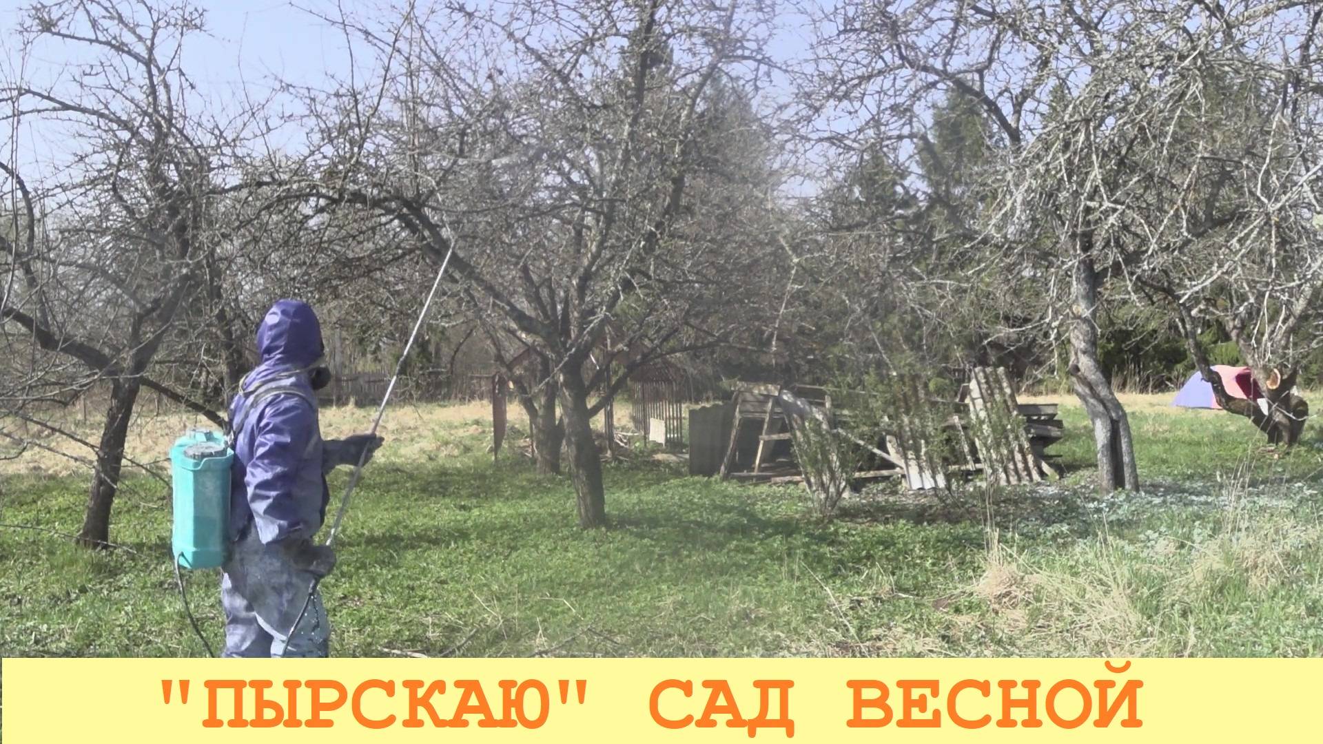 2025 Апрель. Искореняющая обработка сада весной