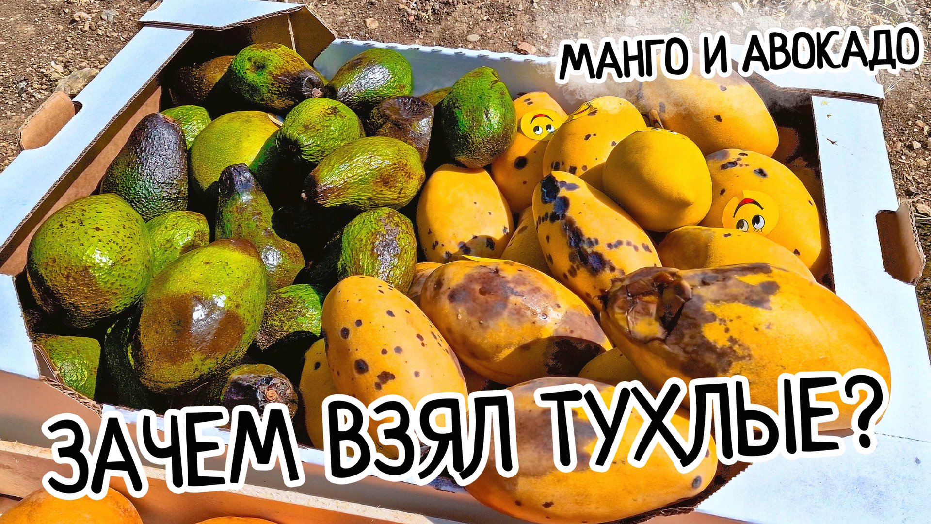 Тухлое Манго и Авокадо не МУСОР! Бесплатное дерево и классное удобрение! Дай жизнь дереву!