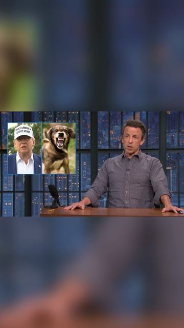 💥 Трампа сравнили с бродячей собакой | Инстинкт вместо стратегии