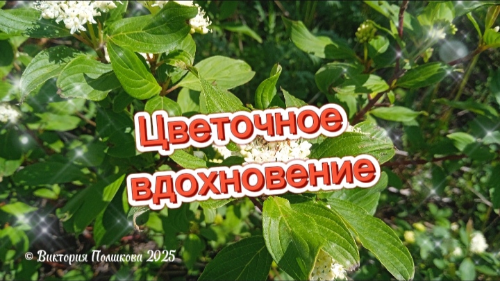 Цветочное вдохновение