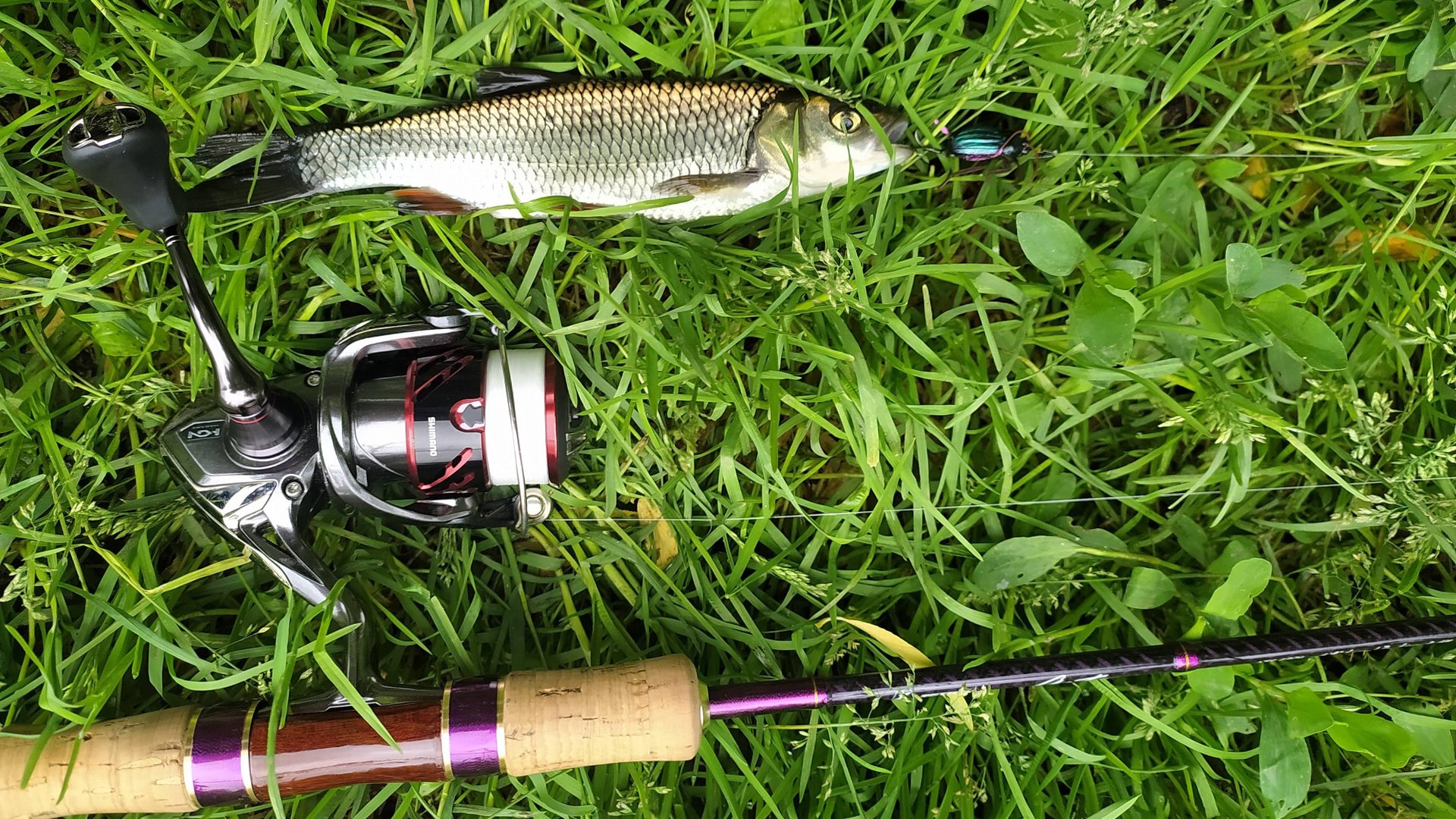 Десна. Открытие СЕЗОНА ТАРАКАНИНГ 2025